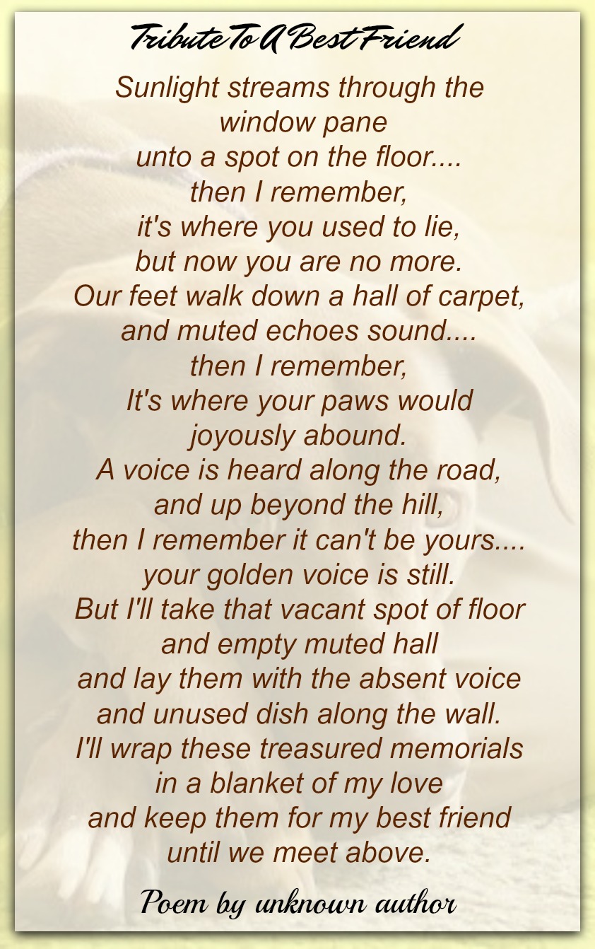 Tribute To A Best Friend-Unknown author | Pet Poems