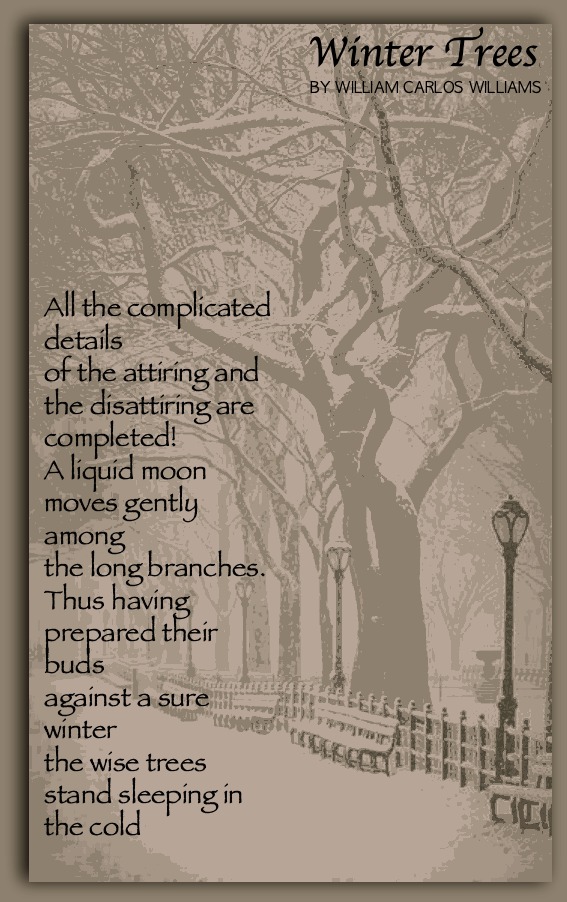 Winter Poems | Some Warmth In The Season Of Cold