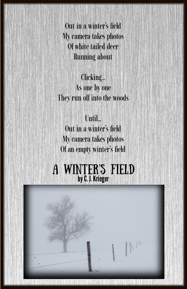 Winter Poems | Some Warmth In The Season Of Cold