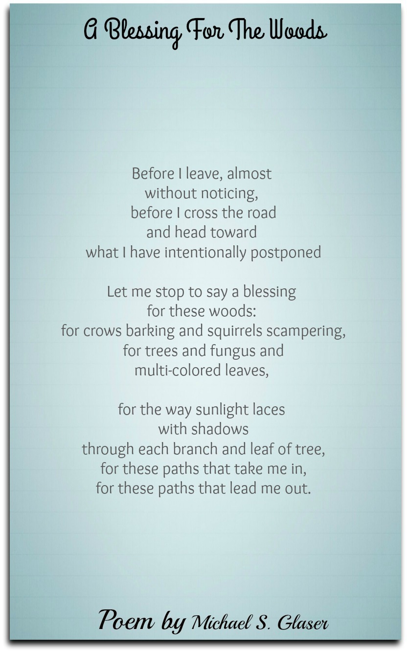A Blessing For The Woods-Michael S. Glaser | Poetry For All Seasons and ...