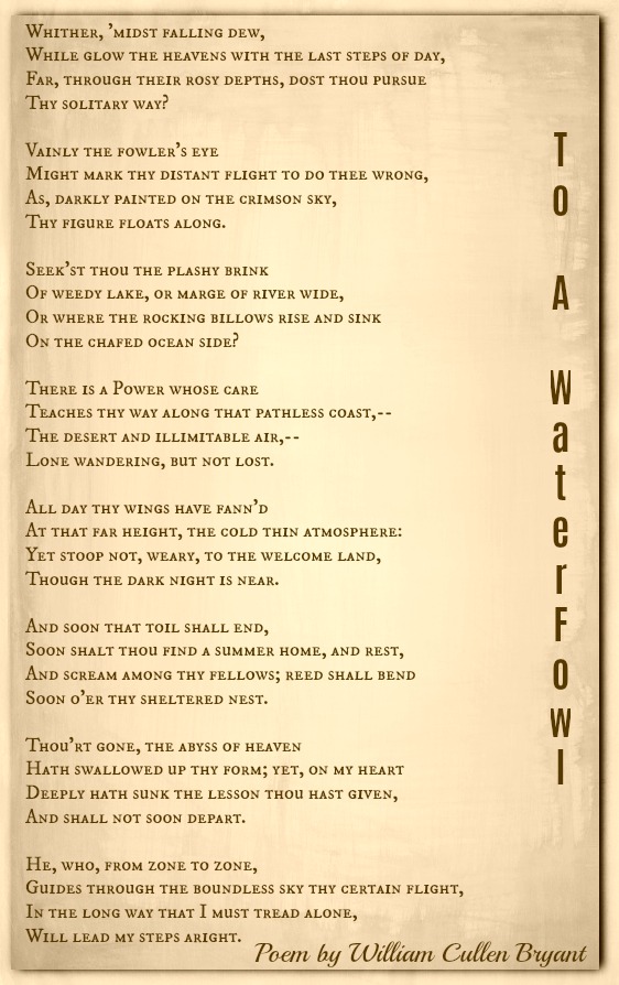 To A WaterFowl | Nature Poems